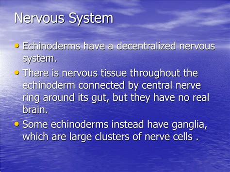 Ppt Echinodermata Powerpoint Presentation Free Download Id 832413