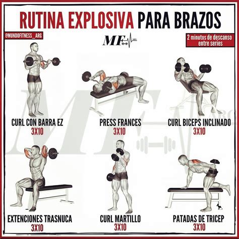 Fitneesunity ‼rutina Explosiva Para Aumentar Tus
