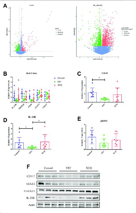 The Effect Of The Xiao Chengqi Formula On Slow Transit Constipation